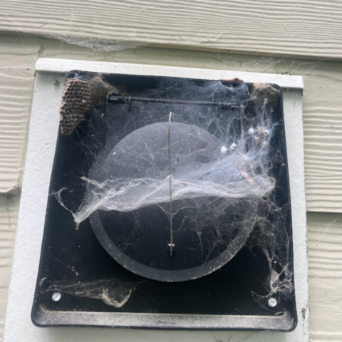 Dryer Vent Cleaning Bluffton, SC LowCountry Exterior Cleaning