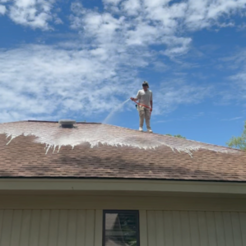 What Are The Best Ways To Clean My Roof? - LowCountry Exterior Cleaning ...